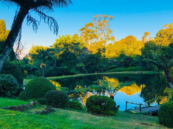 Things to do in Vumba Zimbabwe – King's Court Yard